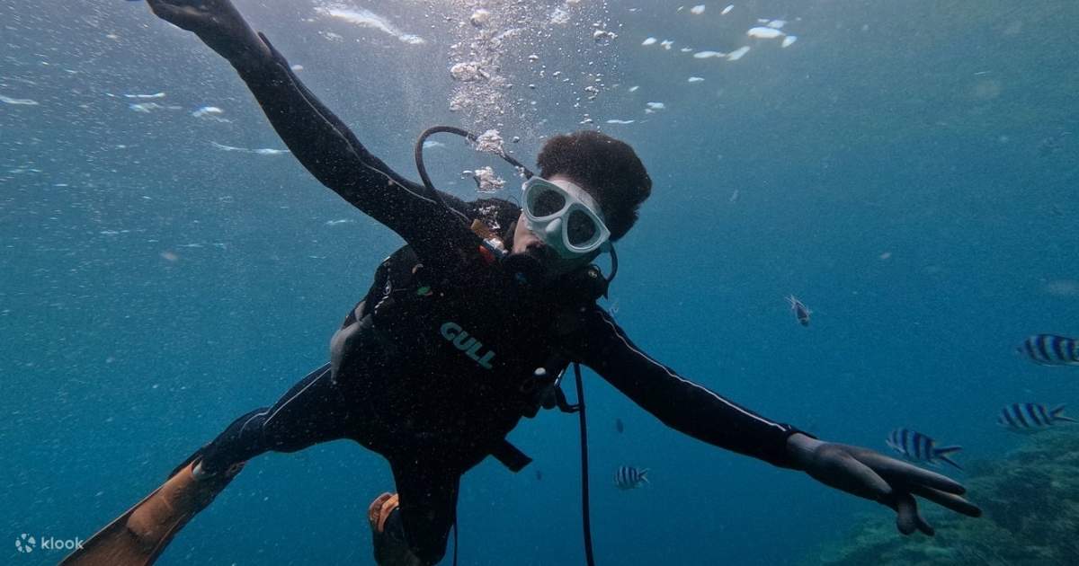 沖縄：青の洞窟ダイビング体験 - GoPro撮影＆水中魚の餌付け無料（1グループパッケージ） | Klook